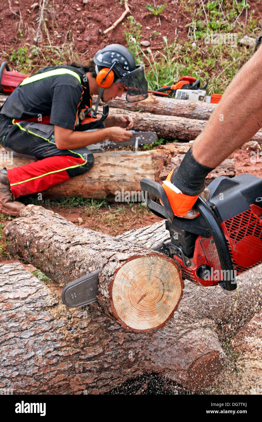 Lumberjack carving wood carving hi-res stock photography and images - Alamy