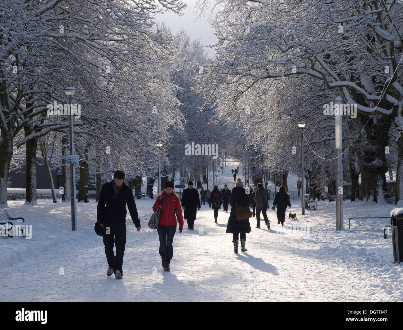 Snow, Middle Meadow Walk, The Meadows , Edinburgh Stock Photo - Alamy