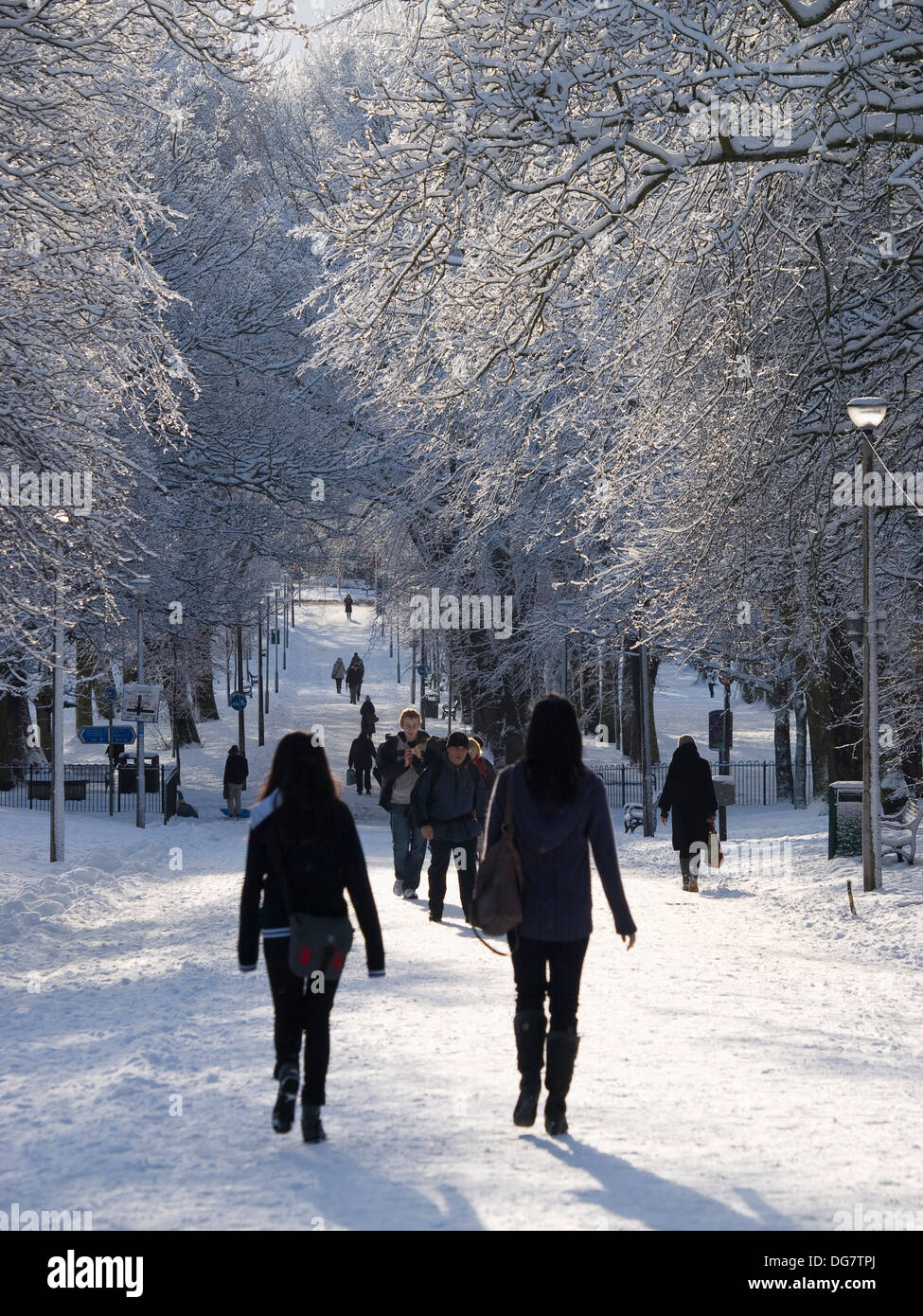 Snow, Middle Meadow Walk, The Meadows , Edinburgh Stock Photo - Alamy