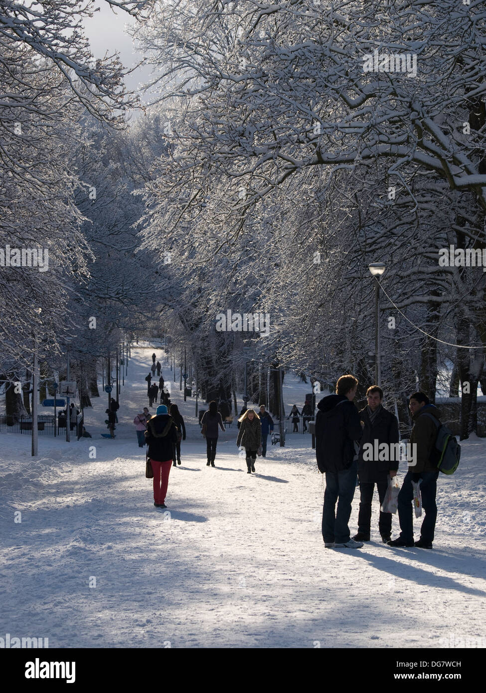 Snow, Middle Meadow Walk, The Meadows , Edinburgh Stock Photo - Alamy