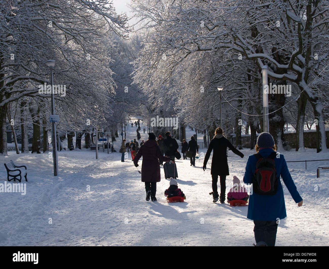 Snow, Middle Meadow Walk, The Meadows , Edinburgh Stock Photo - Alamy