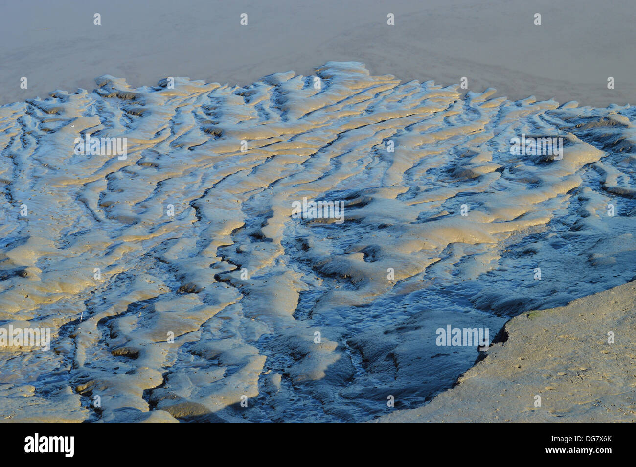 Estuary mud hi-res stock photography and images - Alamy
