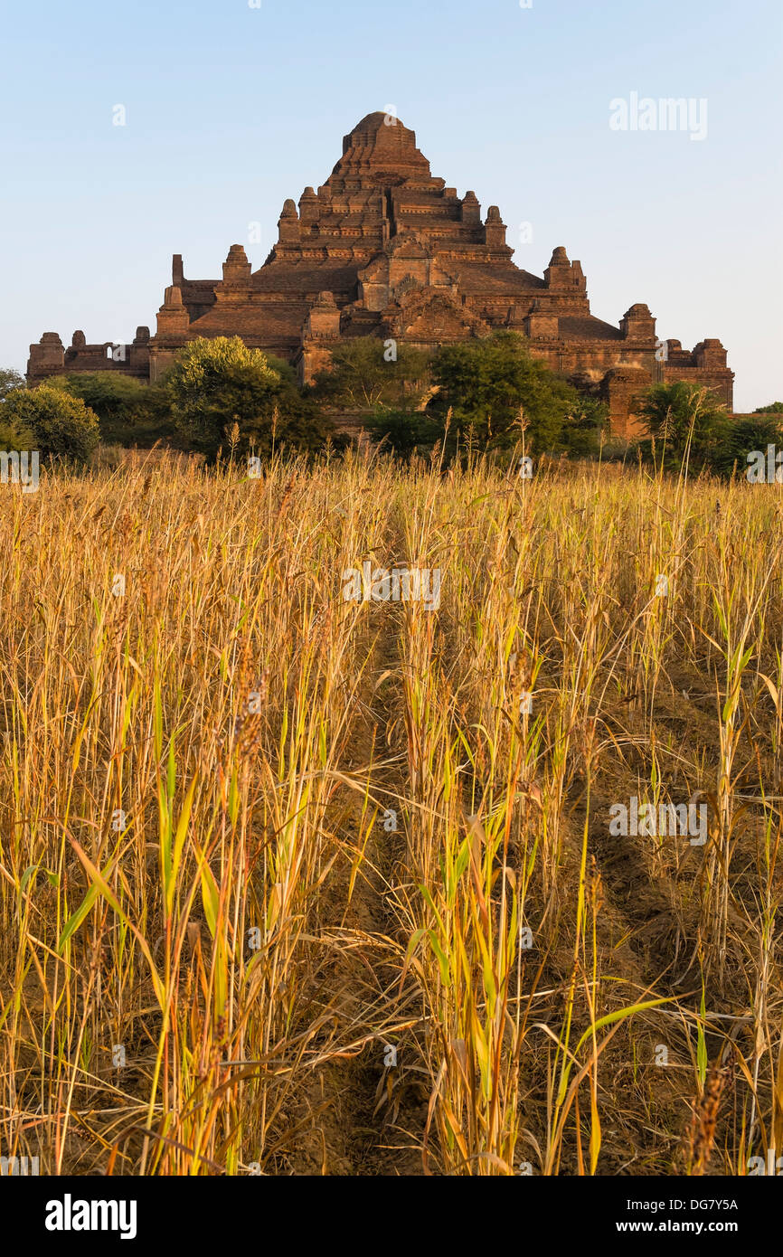 Dhammayangyi Temple, Bagan, Myanmar, Asia Stock Photo - Alamy