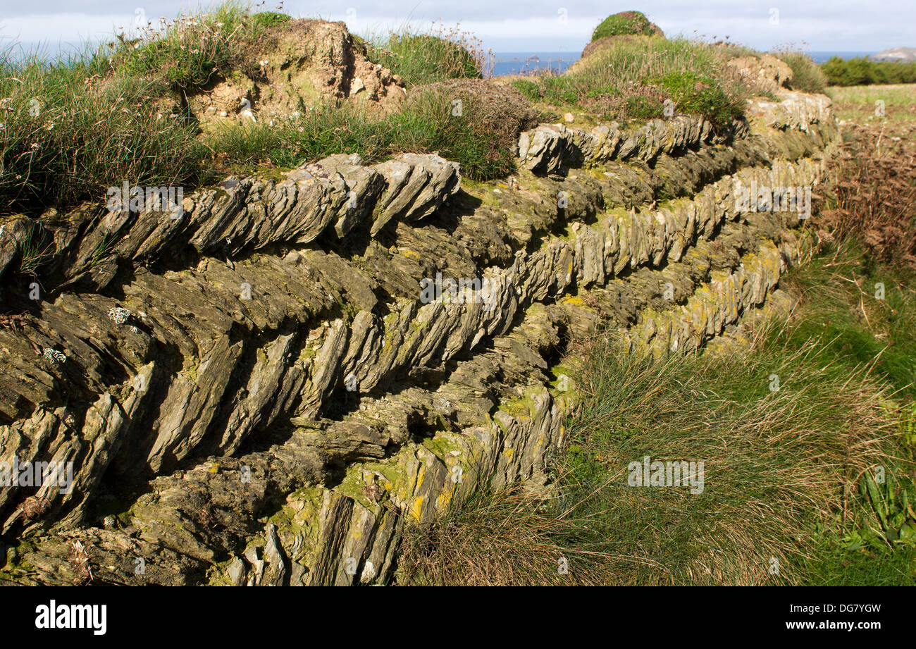 Ancient Herring Bone Pattern Stone Wall Around a Field, Cornwall, UK ...