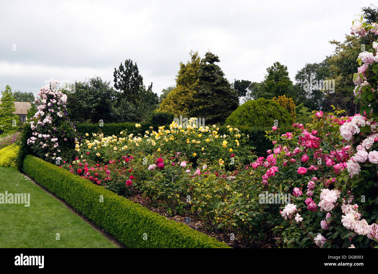 ENGLISH ROSE GARDEN. RHS HYDE HALL. ESSEX Stock Photo - Alamy