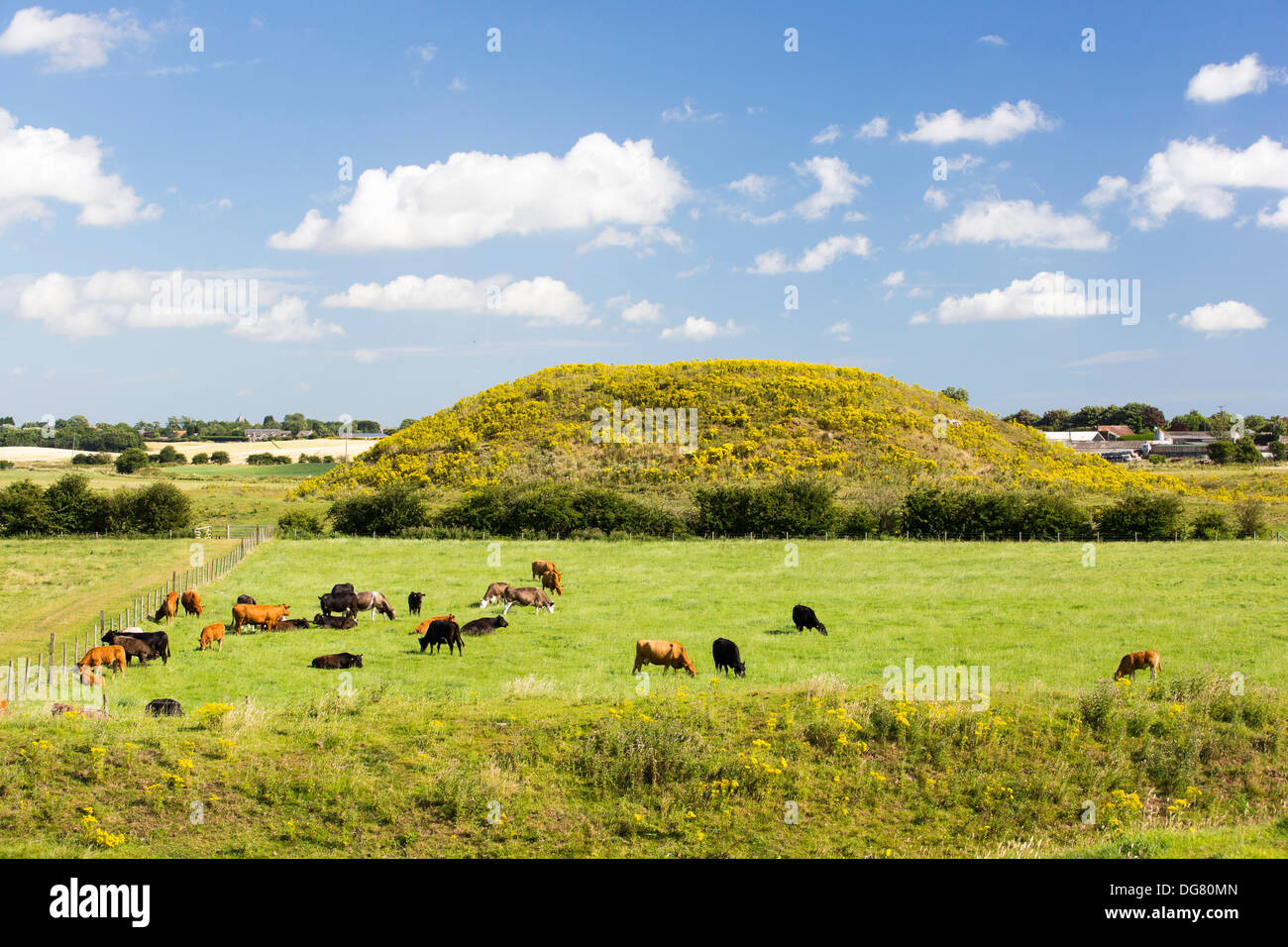 Skipsea Castle, seat of the Lords of Holderness, in Skipsea, Yorkshire ...