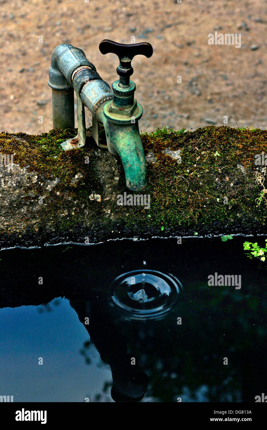 dripping tap, garden tap,dripping into stone water trough lost garden ...