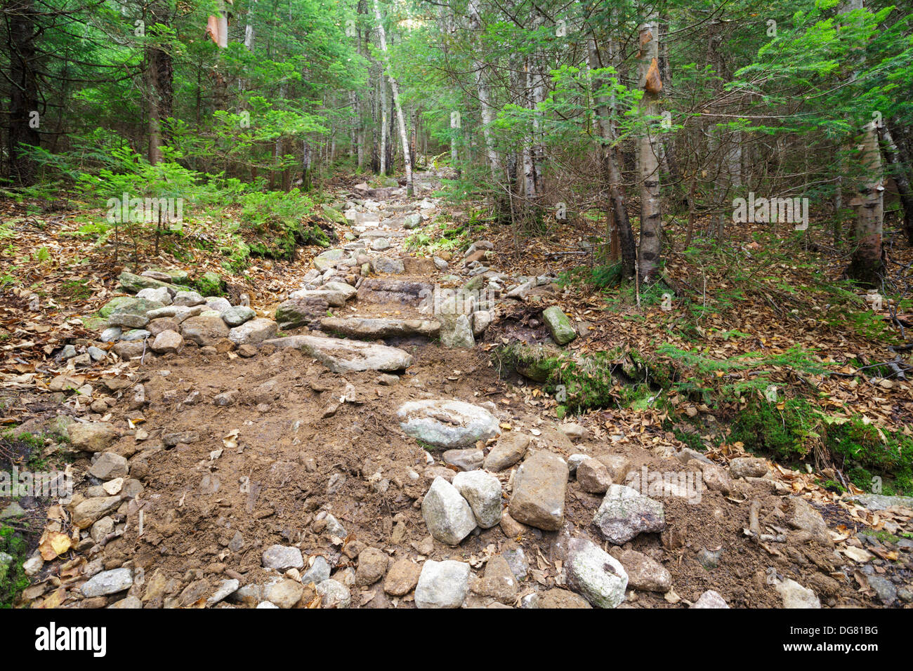 Trail work along the Mt Tecumseh Trail in the White Mountains, New ...