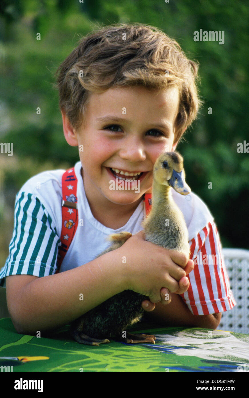 Happy duckling hi-res stock photography and images - Alamy