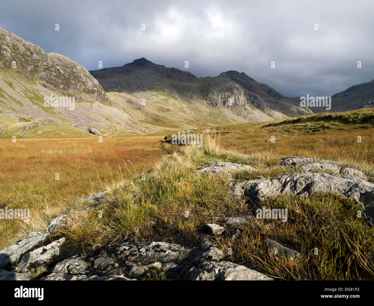 Great moss lake district hi-res stock photography and images - Alamy