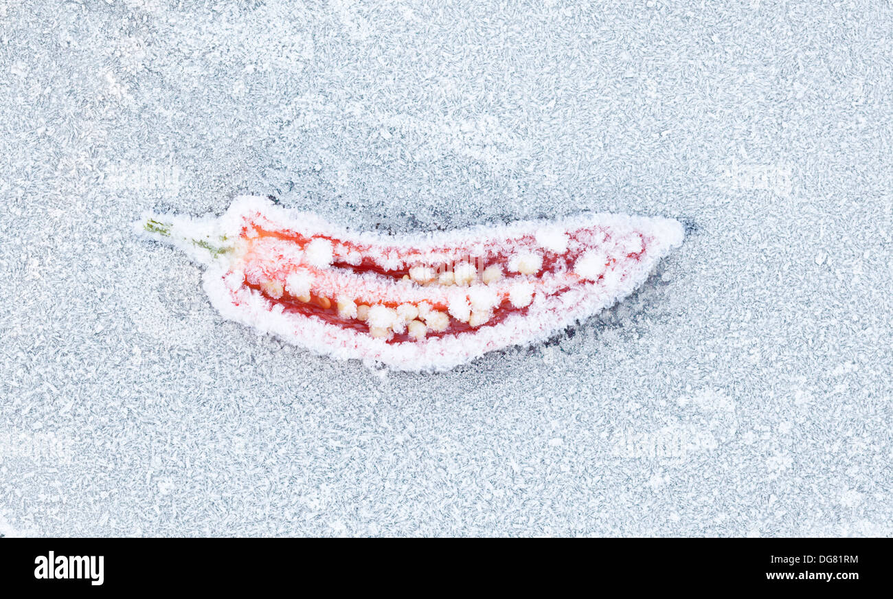 Chilli Cut Open High Resolution Stock Photography and Images - Alamy
