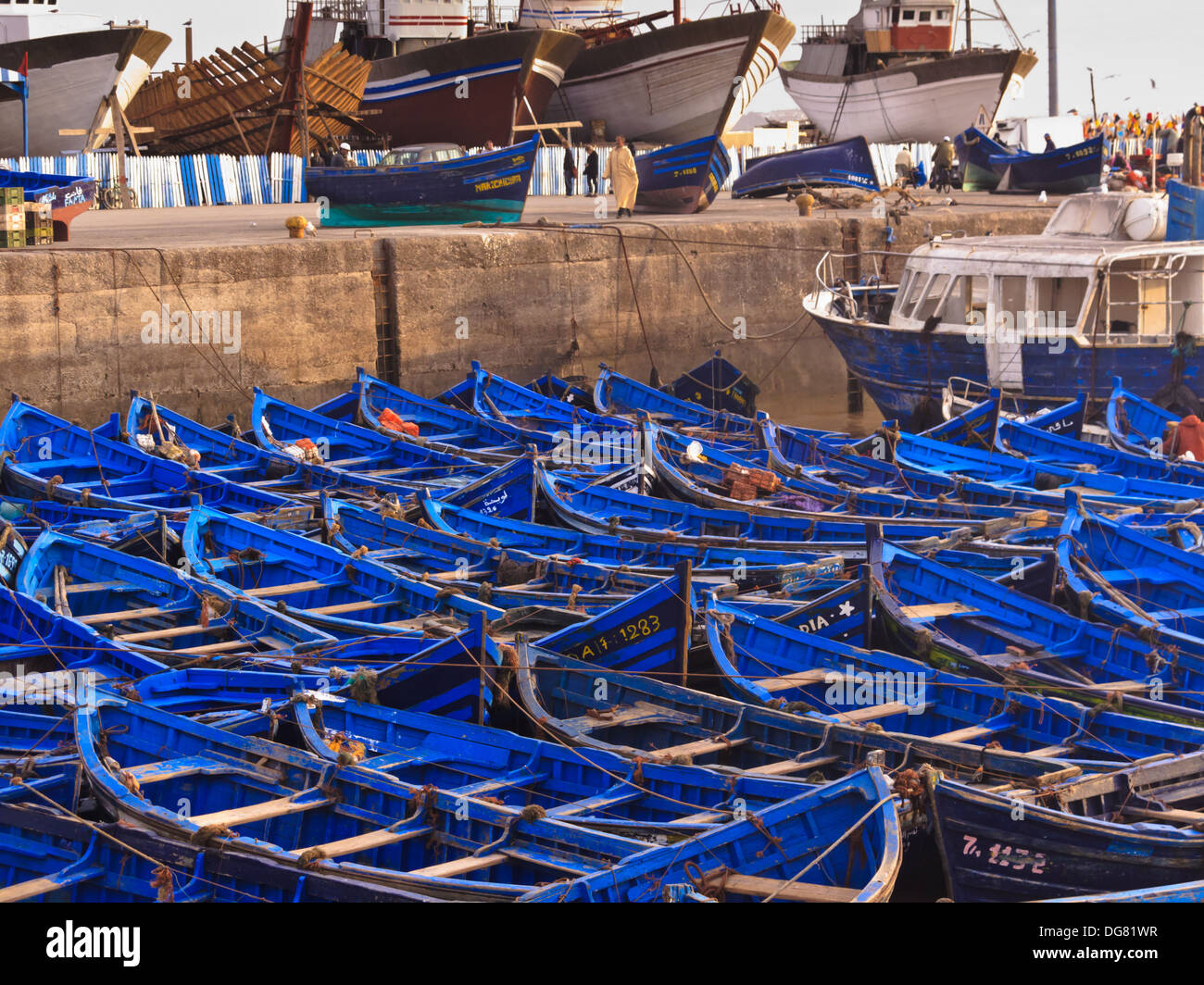 Fleet of small blue fishing boats tied together in harbor in Essaouira ...