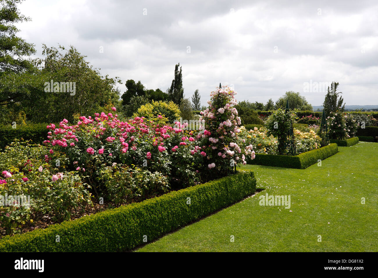 English rose garden hi-res stock photography and images - Alamy