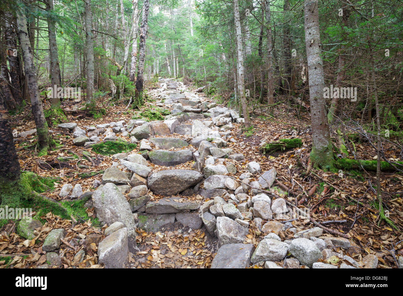 Mt Tecumseh Trail in the White Mountains, New Hampshire USA. This is a ...