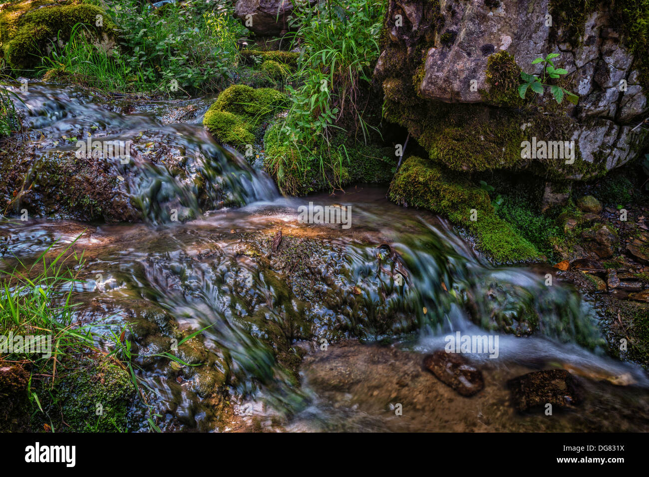 Stream bodies of water hi-res stock photography and images - Alamy