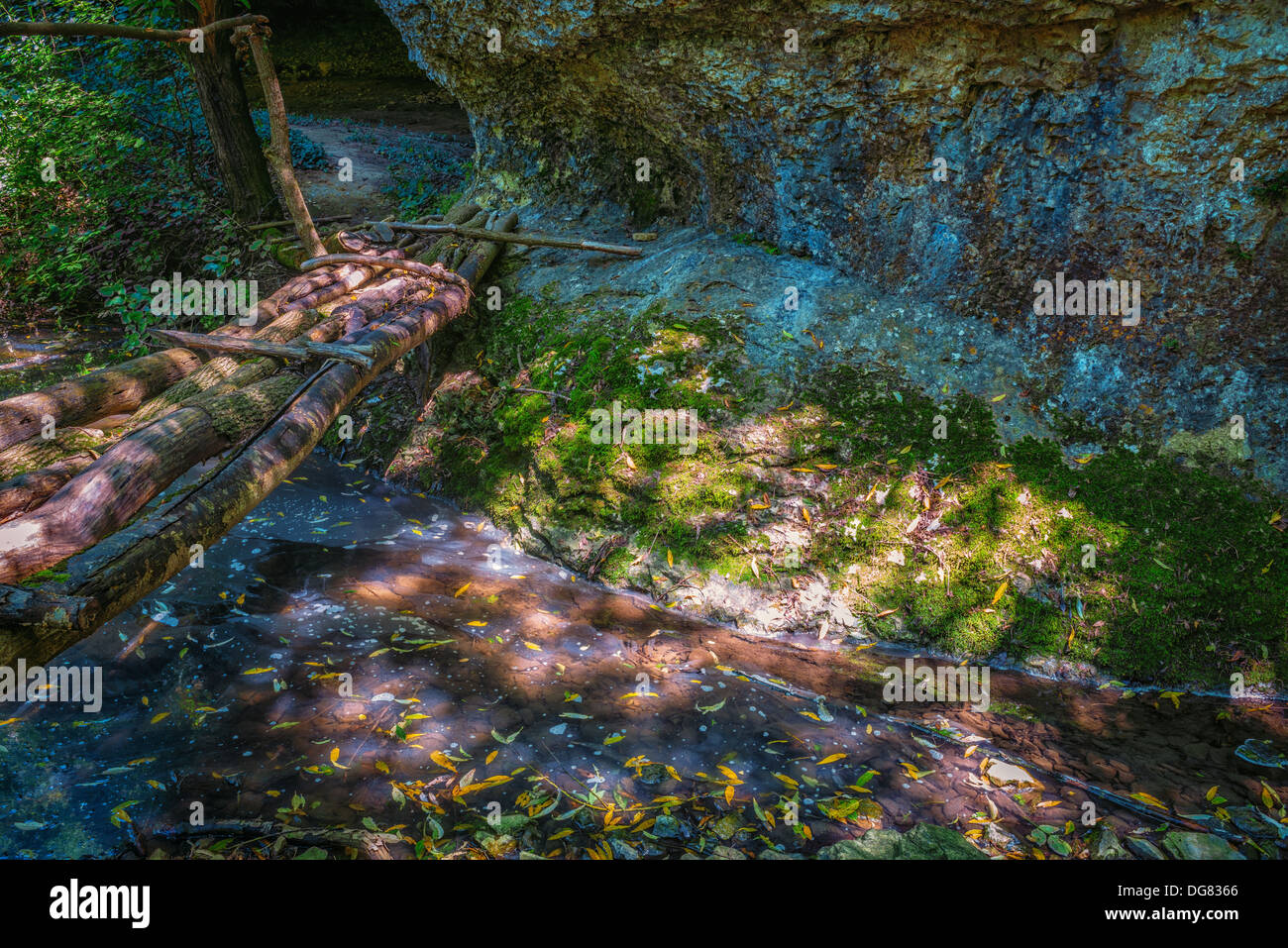 Wooden Bridge in forest Stock Photo - Alamy