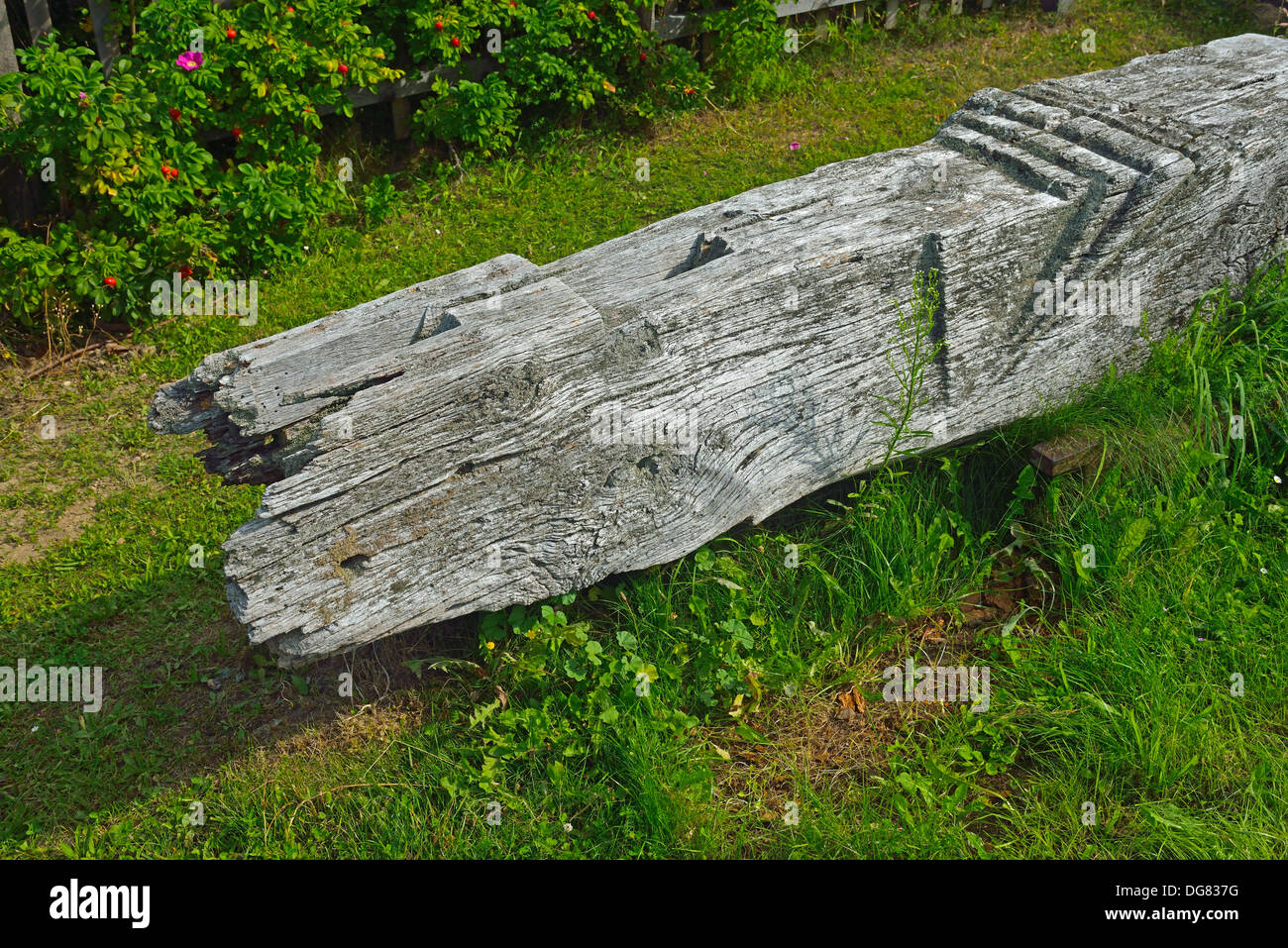 Old, scarved wooden pole Stock Photo - Alamy