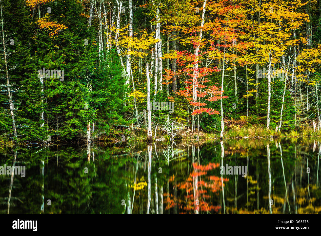 Autumn in Michigan's upper peninsula. Beautiful lake surrounded by ...