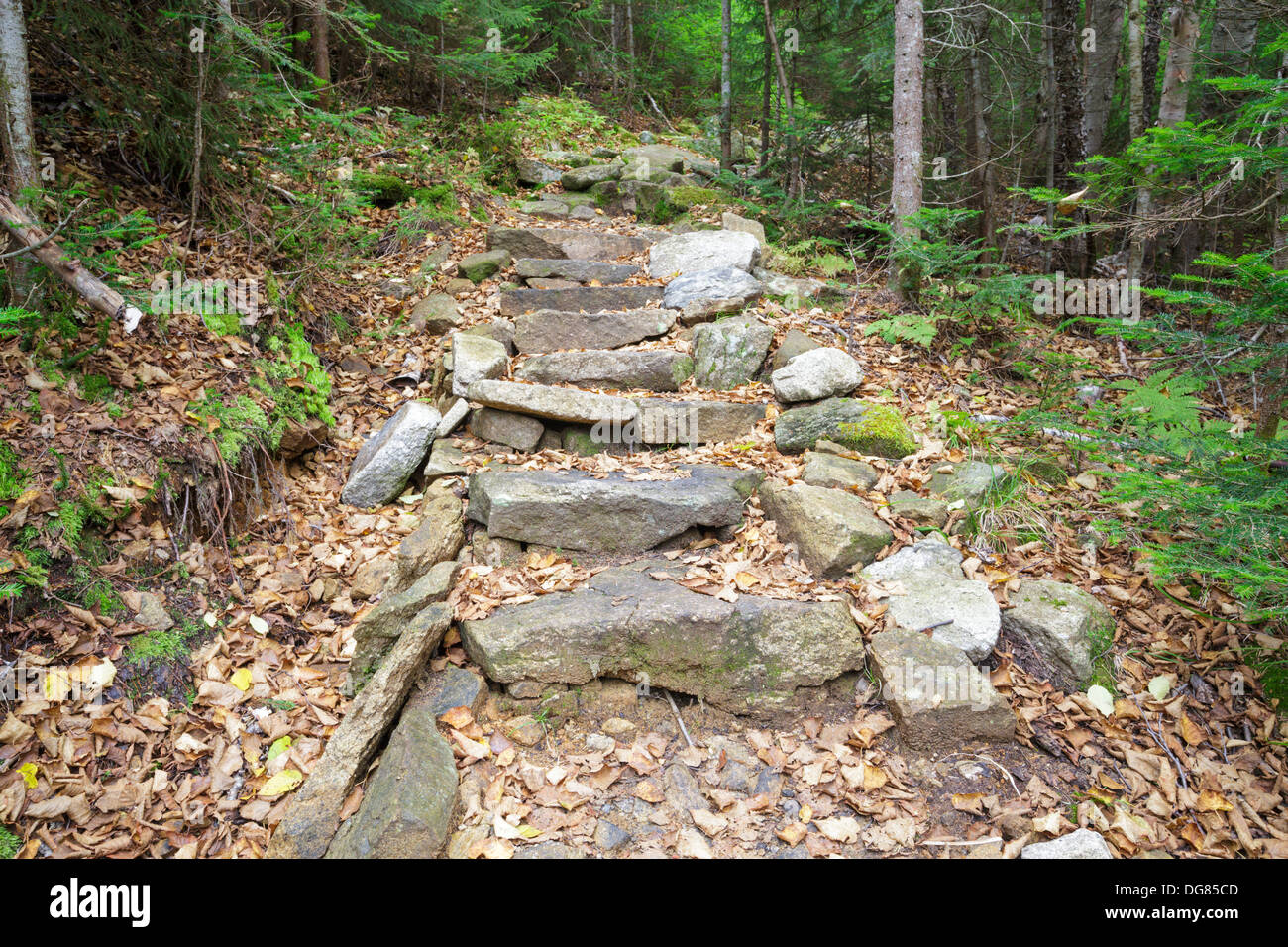 Mt Tecumseh Trail in the White Mountains, New Hampshire USA. This is a ...