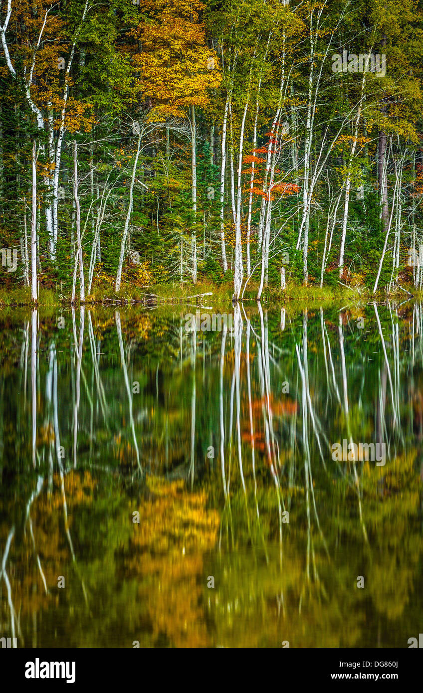 Autumn in Michigan's upper peninsula. Beautiful lake surrounded by ...