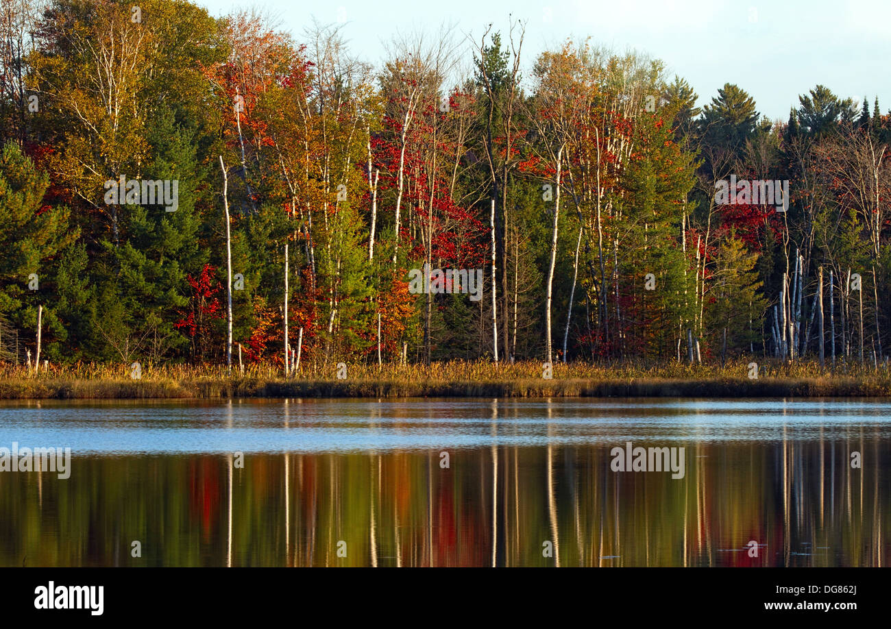 Autumn in Michigan's upper peninsula. Beautiful lake surrounded by ...