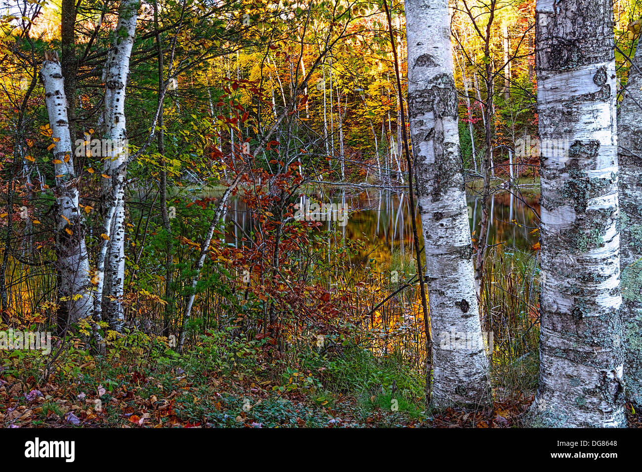 Autumn in Michigan's upper peninsula. Beautiful lake surrounded by ...