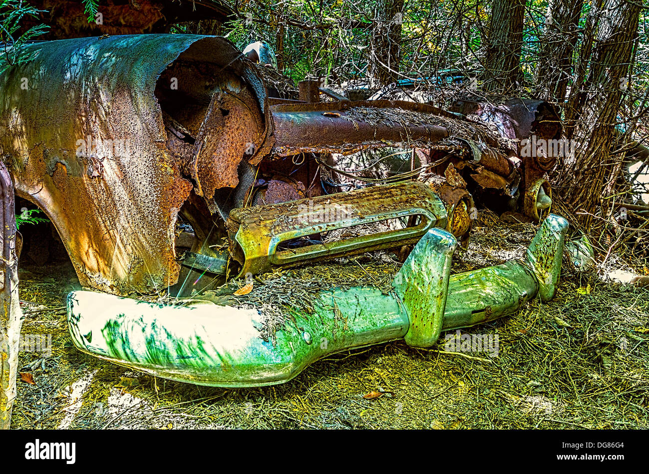 Classic car in overgrown junk yard that has now become a forest Stock ...