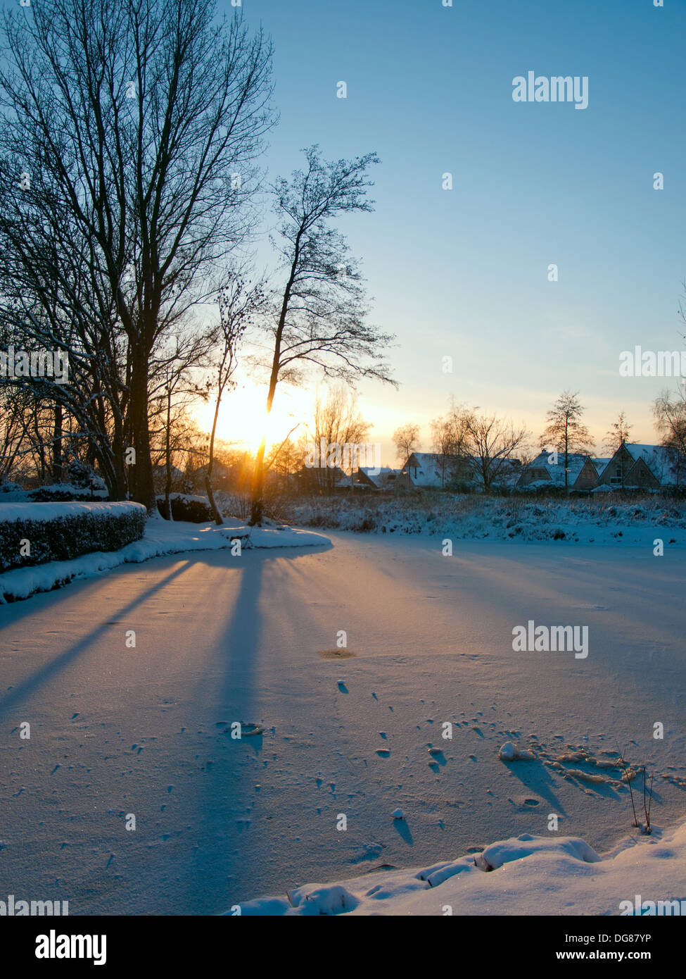 Sun shining through the trees in a winter wonderland Stock Photo - Alamy