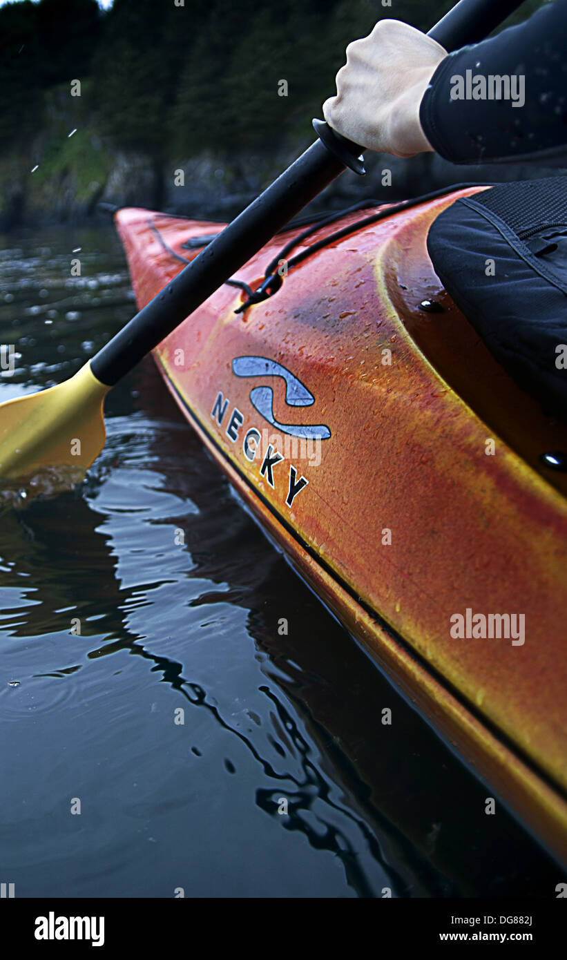 Necky High Resolution Stock Photography and Images - Alamy