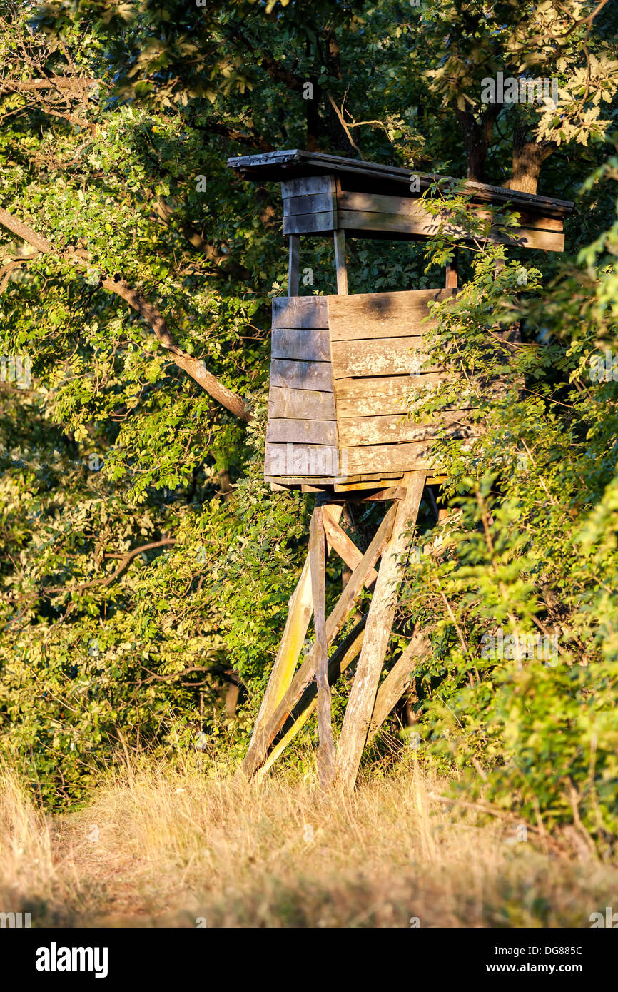 Hunter tower in a forest Stock Photo - Alamy