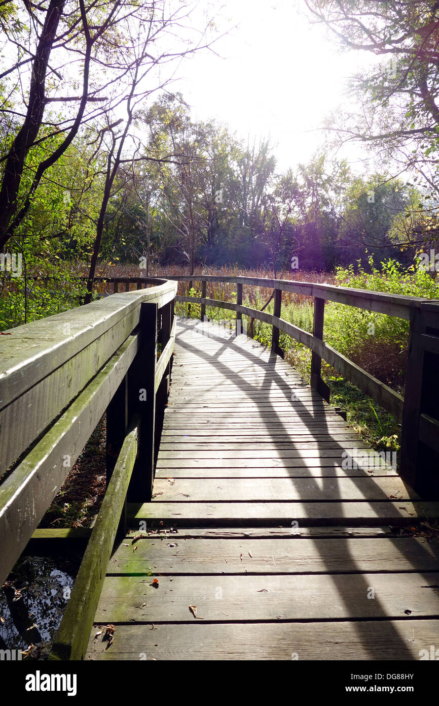 Pedestrian bridge in a park in Toronto, Canada Stock Photo - Alamy