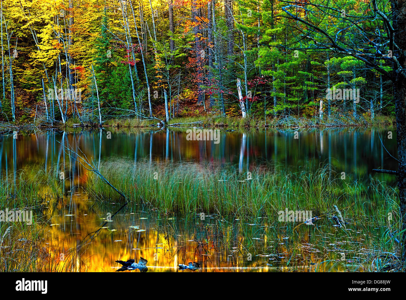 Autumn in Michigan's upper peninsula. Beautiful lake surrounded by ...