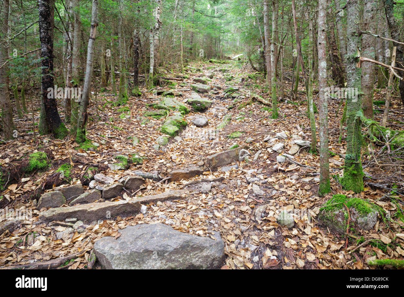 Mt Tecumseh Trail High Resolution Stock Photography and Images - Alamy