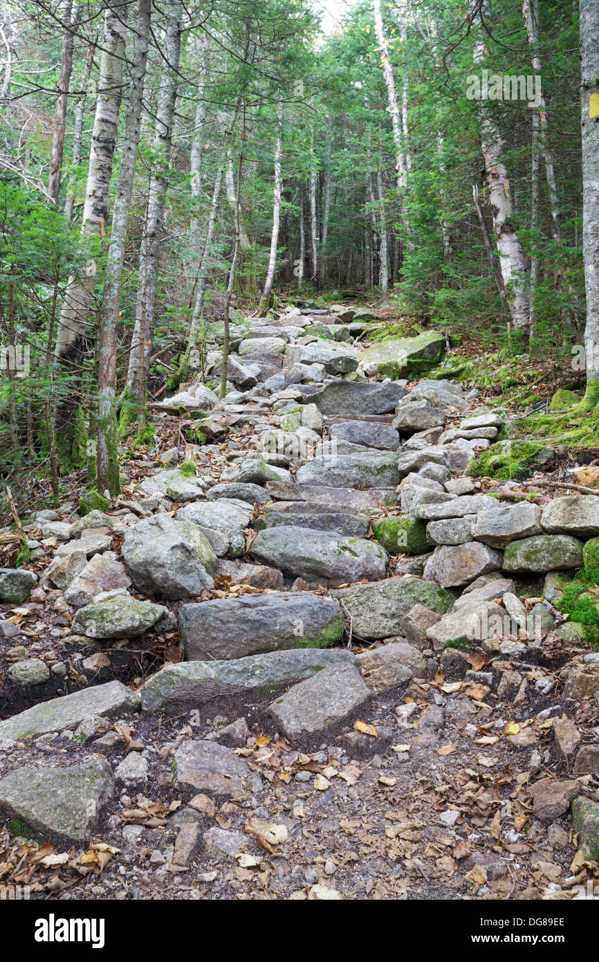 Mt Tecumseh Trail in the White Mountains, New Hampshire USA. This is a ...