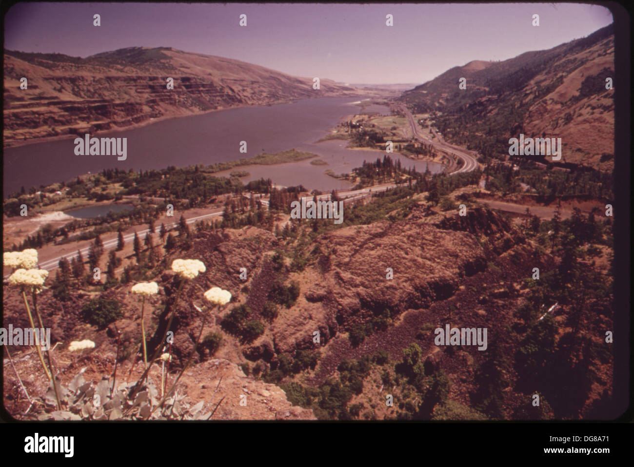 A scenic view of the Columbia River Gorge, captured from the summit of ...