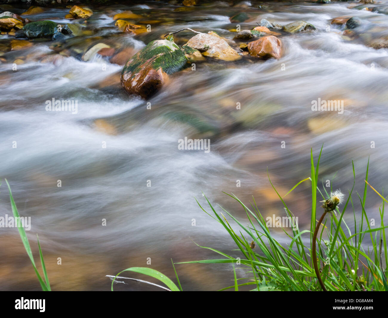 Stream bodies of water hi-res stock photography and images - Alamy