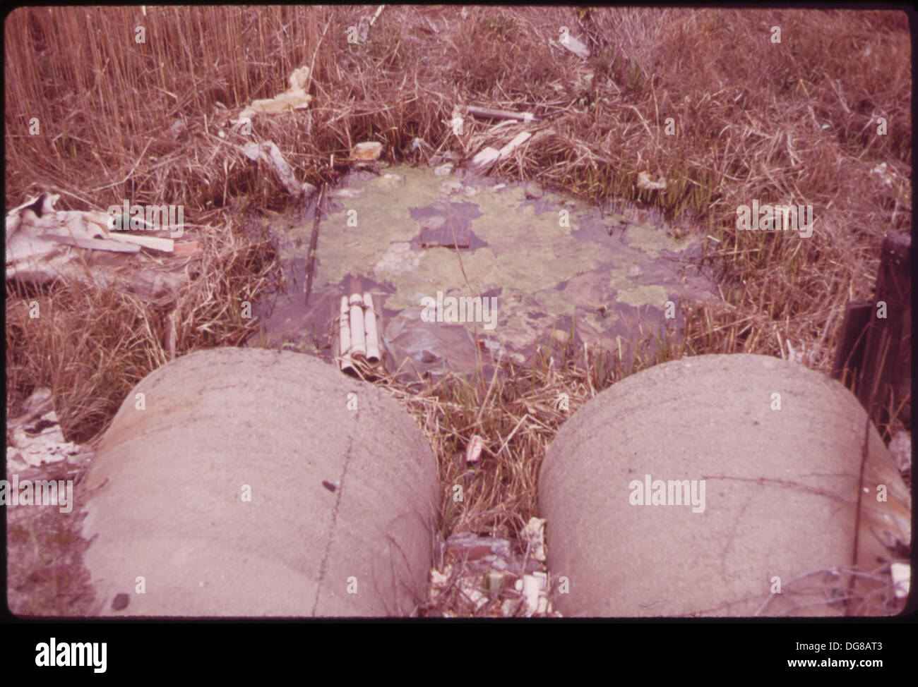 Debris from drainage pipes has filled a tidal pool at Breezy Point ...