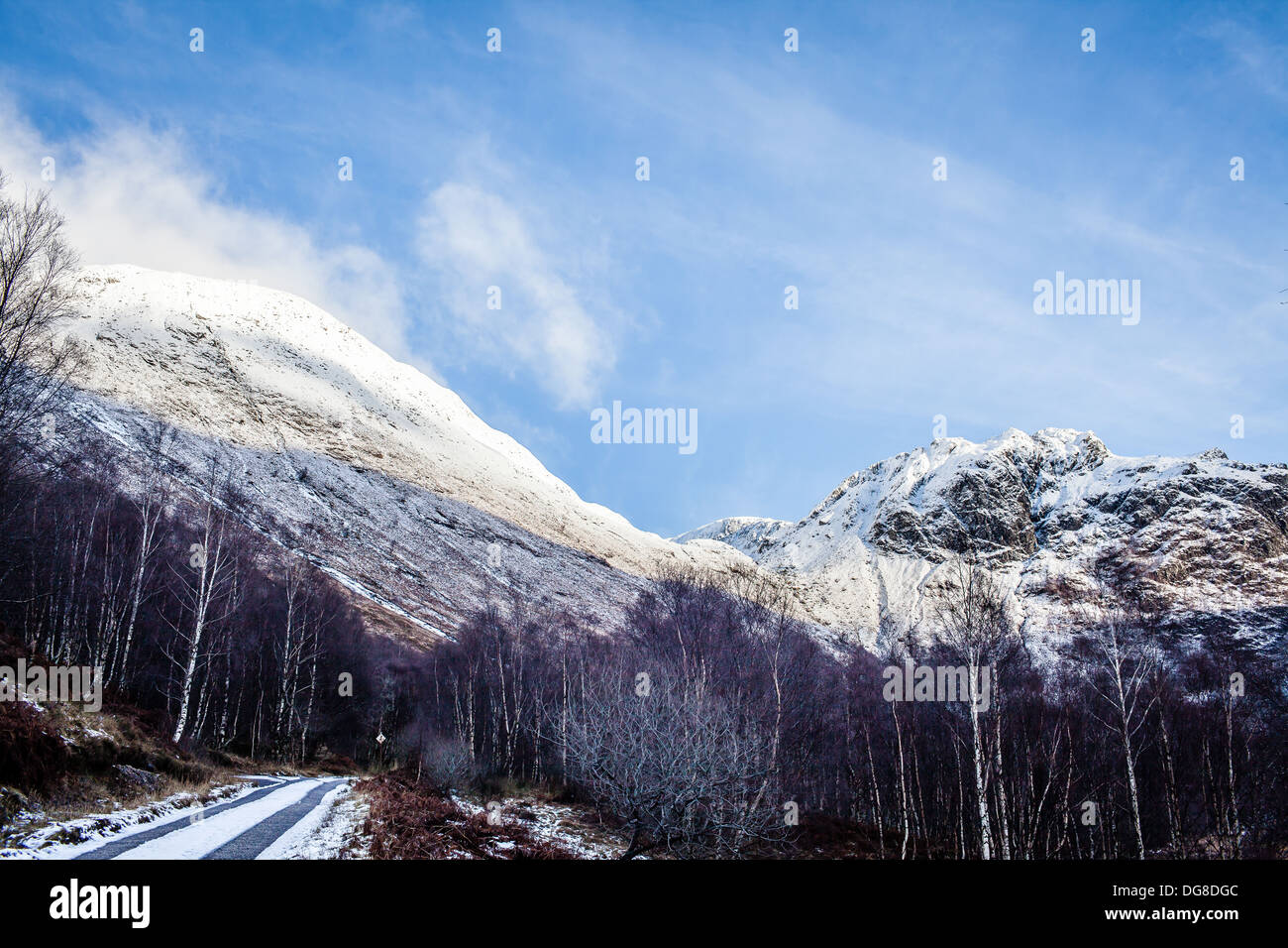 Scottish landscape with forest hi-res stock photography and images - Alamy
