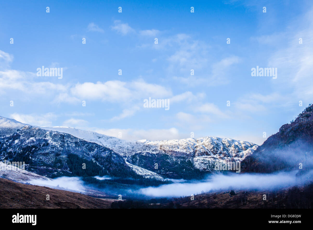 Scottish landscape with forest hi-res stock photography and images - Alamy