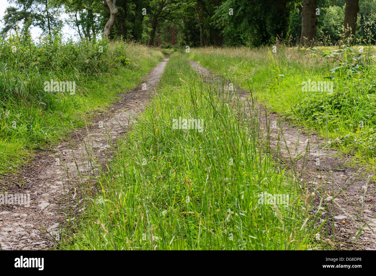 Grass track hi-res stock photography and images - Alamy