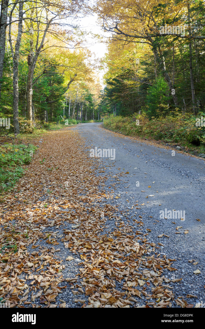 Autumn foliage along Jefferson Notch Road in Thompson and Meserves ...