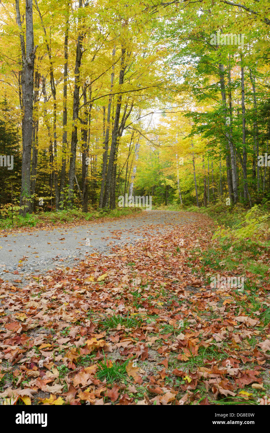 Jefferson Notch Road in the Low and Burbank's Grant, New Hampshire USA ...