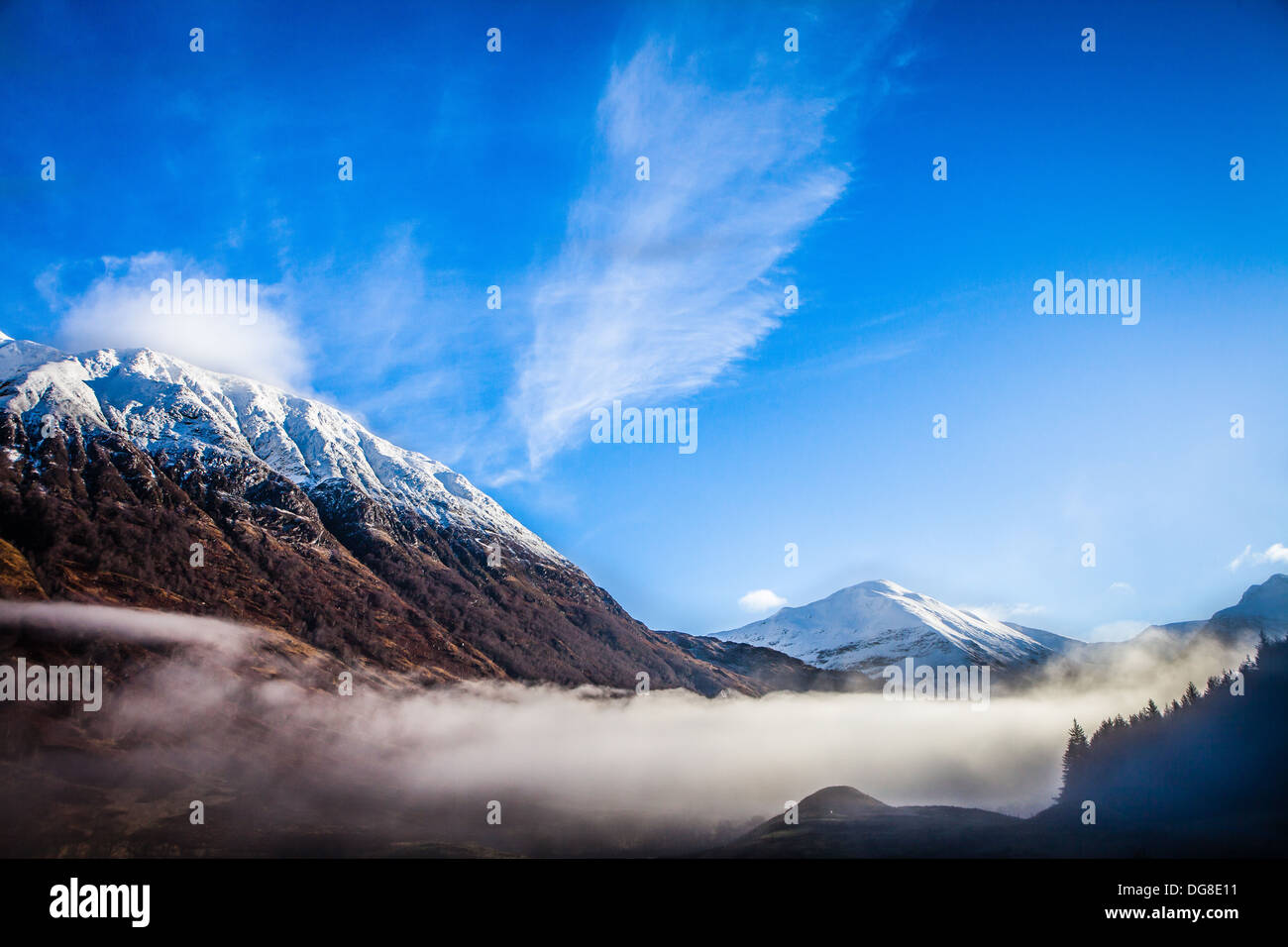 Scottish landscape with forest hi-res stock photography and images - Alamy