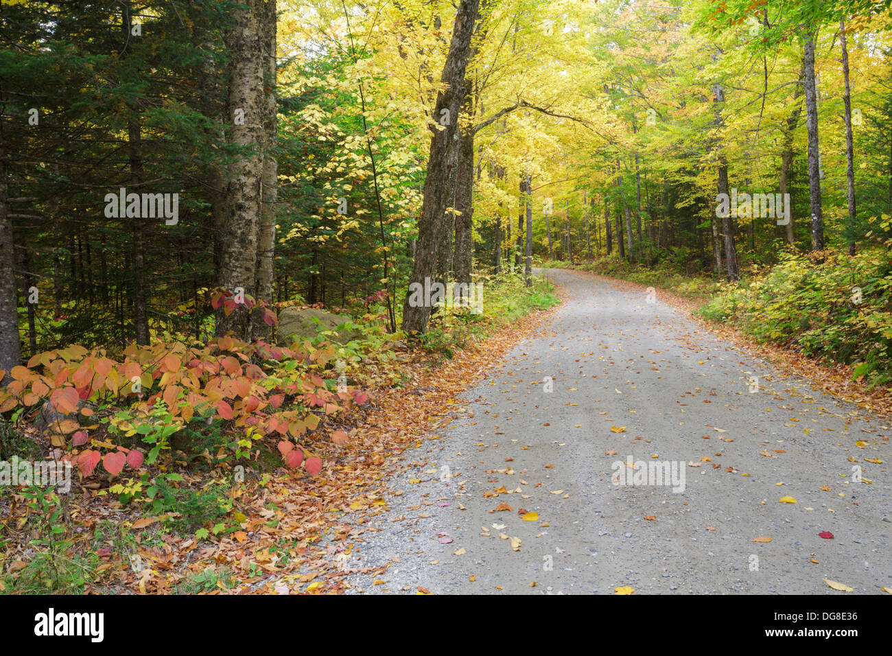 Jefferson Notch Road in the Low and Burbank's Grant, New Hampshire USA ...