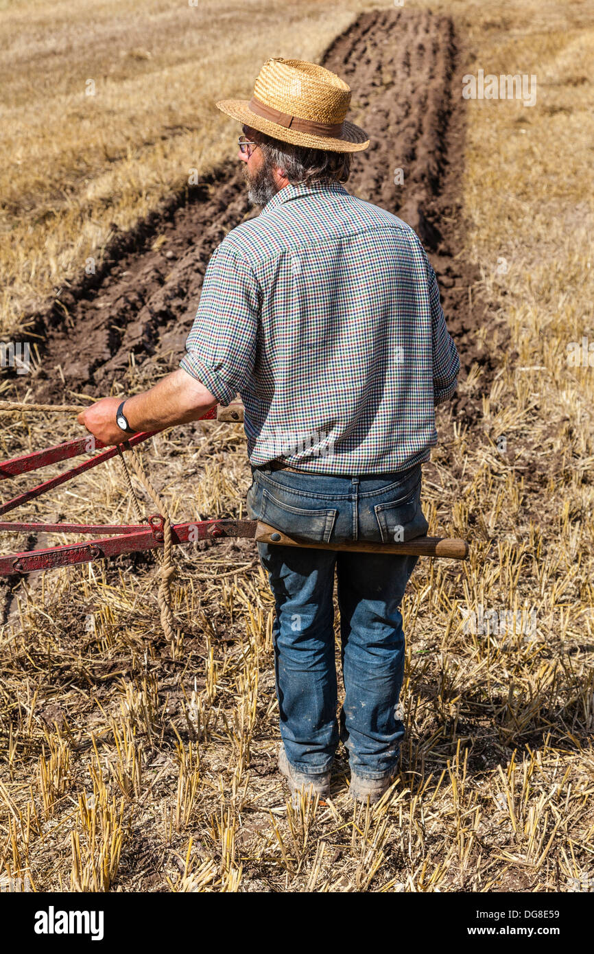 Horse drawn ploughing Stock Photo - Alamy