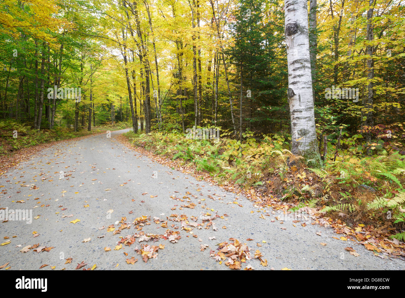 Jefferson Notch Road in the Low and Burbank's Grant, New Hampshire USA ...