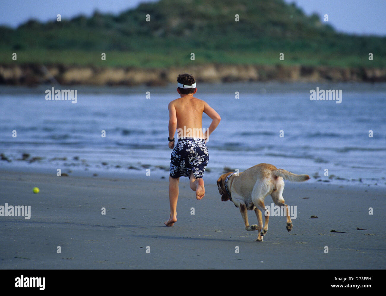 Boy runs with a dog hi-res stock photography and images - Alamy