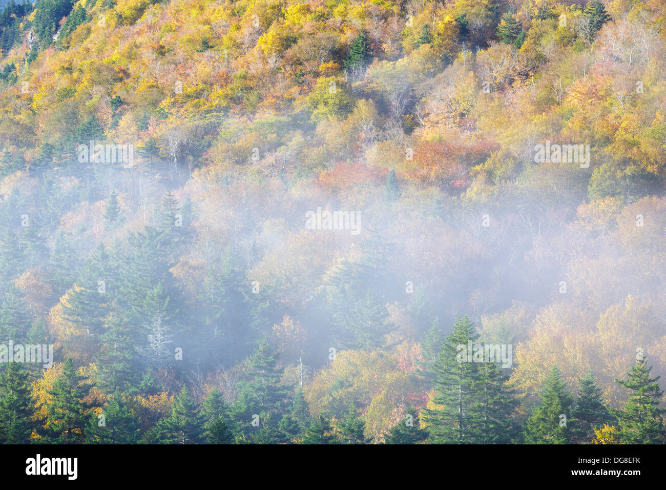 Crawford Notch State Park in the White Mountains, New Hampshire USA ...