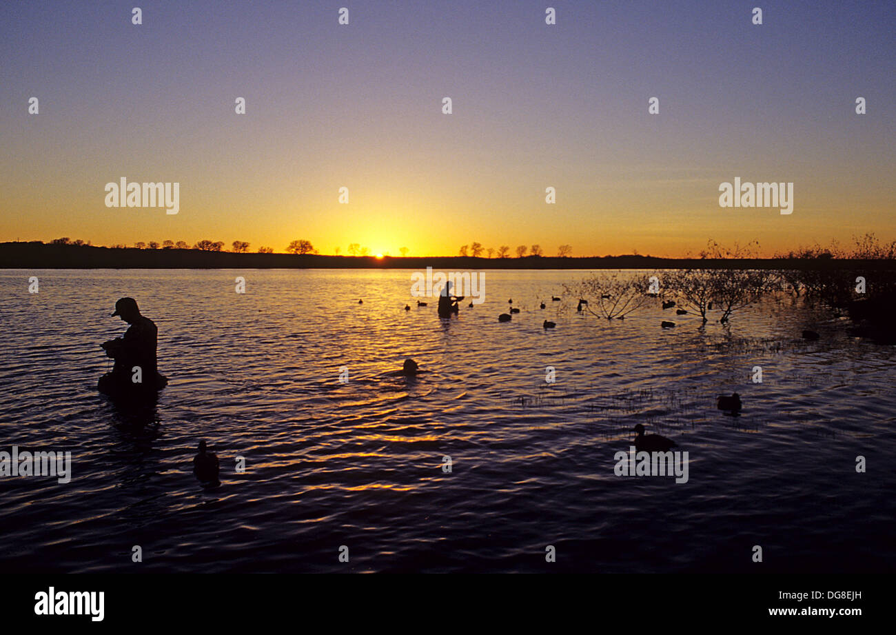 Men duck hunting hi-res stock photography and images - Alamy
