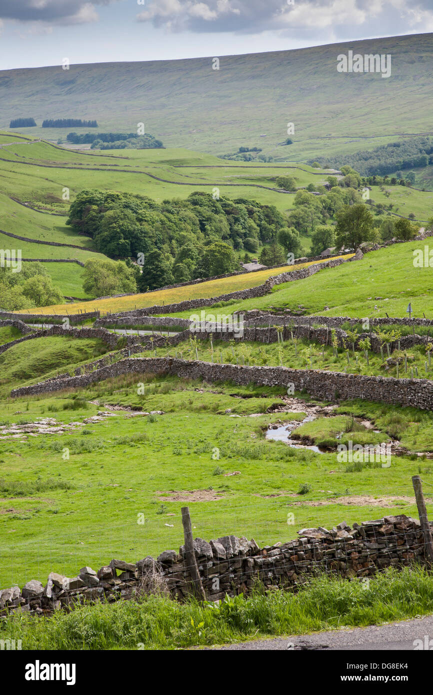 Dry stone walls in Yorkshire Stock Photo - Alamy